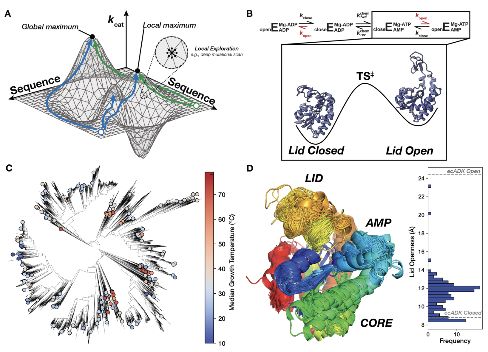 Evolutionary-Scale Enzymology Enables Biochemical Constant Prediction ...