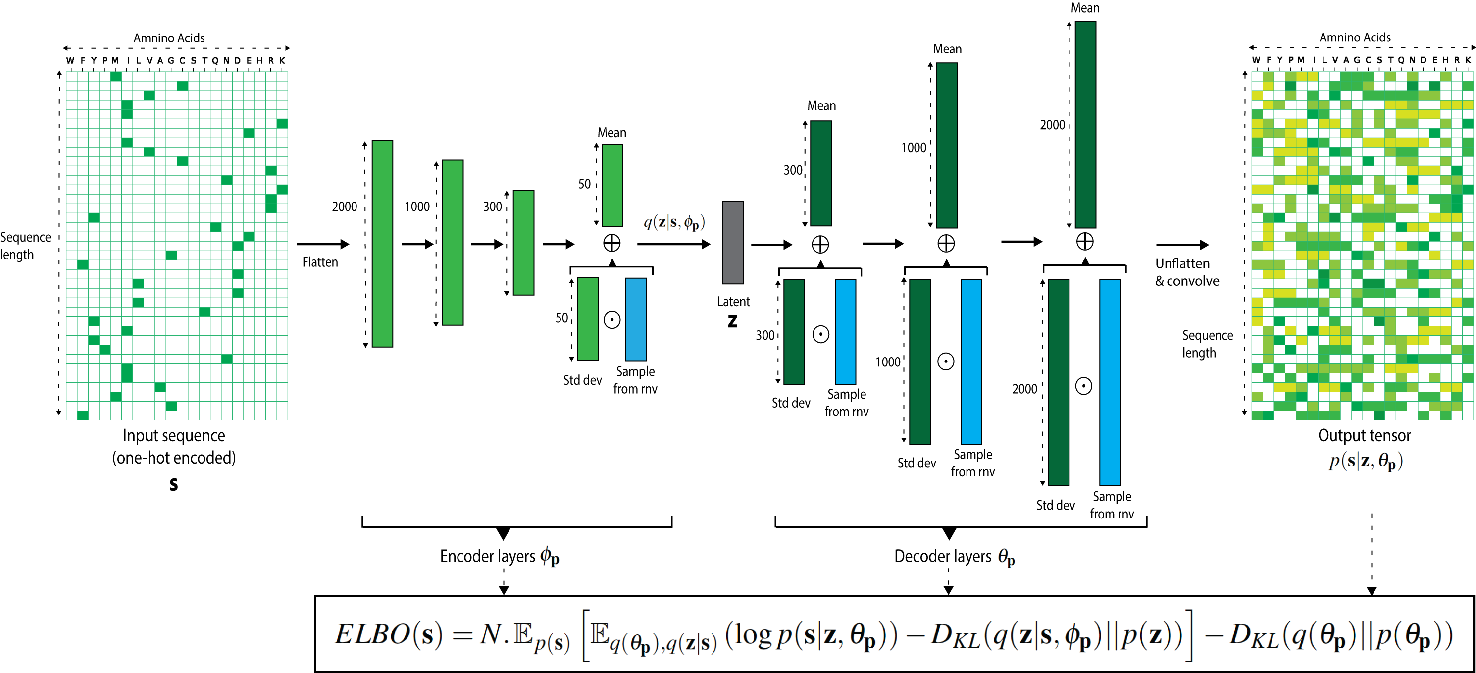 Disease Variant Prediction with Deep Generative Models of Evolutionary Data