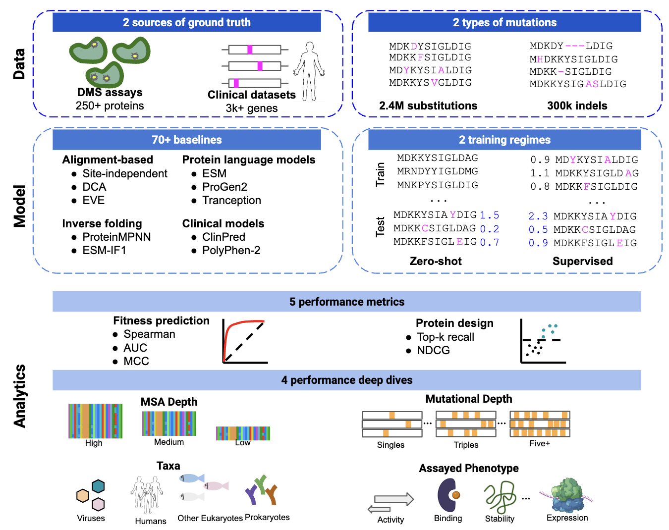 ProteinGym: Large-Scale Benchmarks for Protein Fitness Prediction and ...