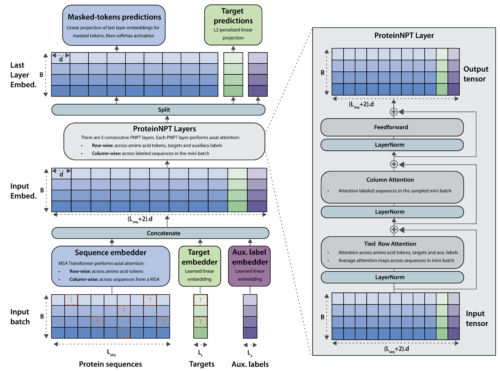 ProteinNPT: Improving Protein Property Prediction and Design with Non ...