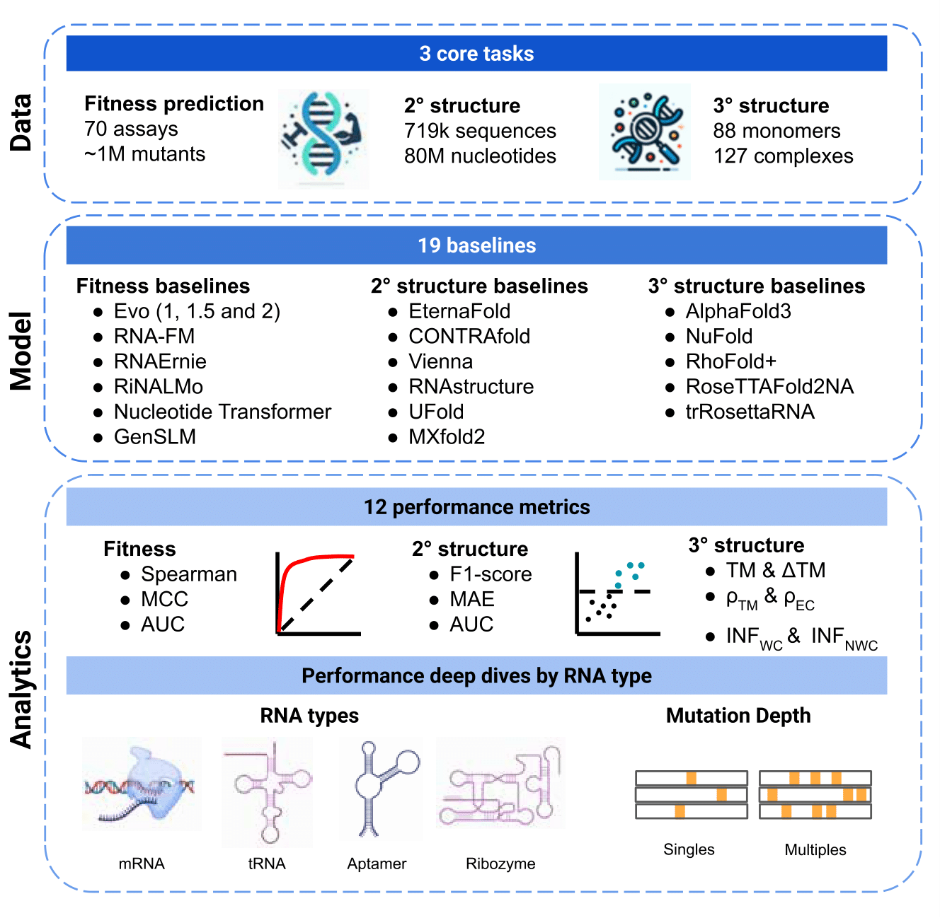 RNAGym: Large-scale Benchmarks for RNA Fitness and Structure Prediction ...
